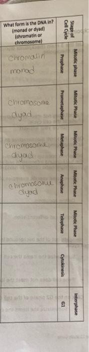 Solved What form is the DNA in? (monad or dyad) (chromatin | Chegg.com