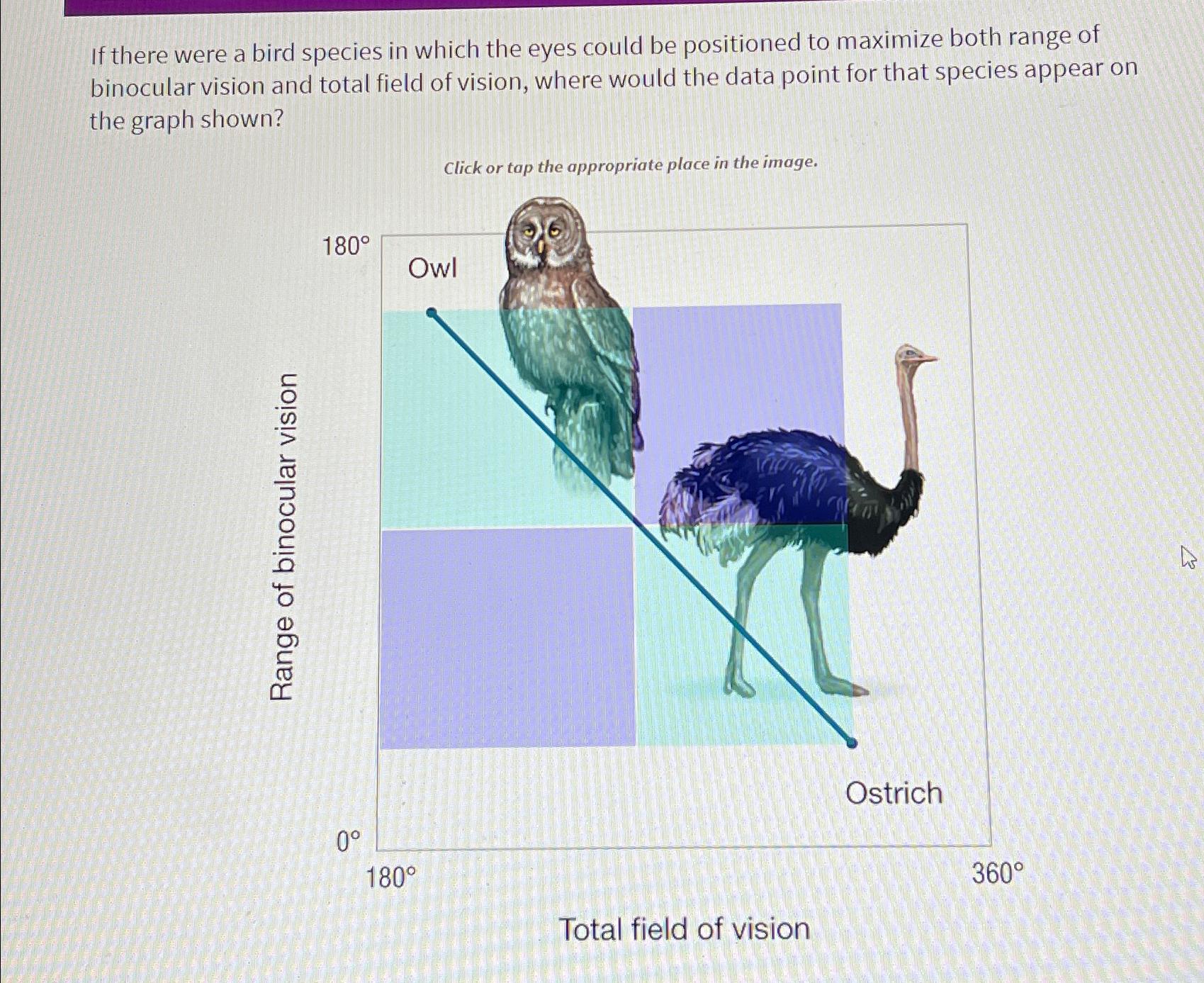 Solved If there were a bird species in which the eyes could | Chegg.com