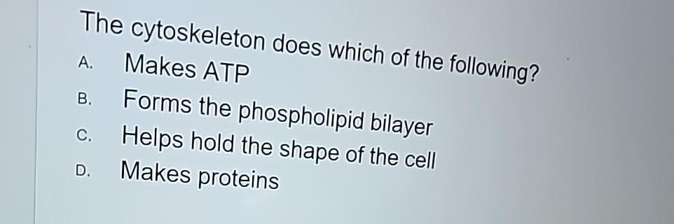 Solved The cytoskeleton does which of the following?A. | Chegg.com