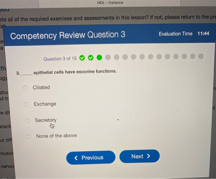 Solved HOL - Instance cu ete all of the required exercises | Chegg.com