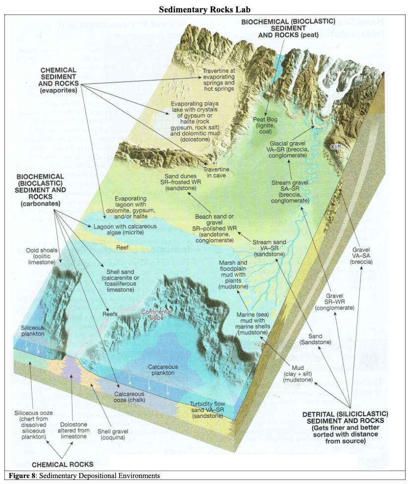 Using Figure 8 (Sedimentary Depositional | Chegg.com