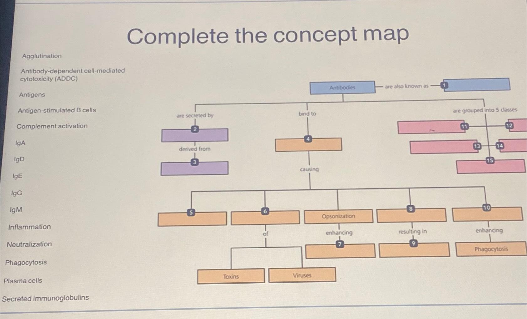 Solved Complete the concept | Chegg.com
