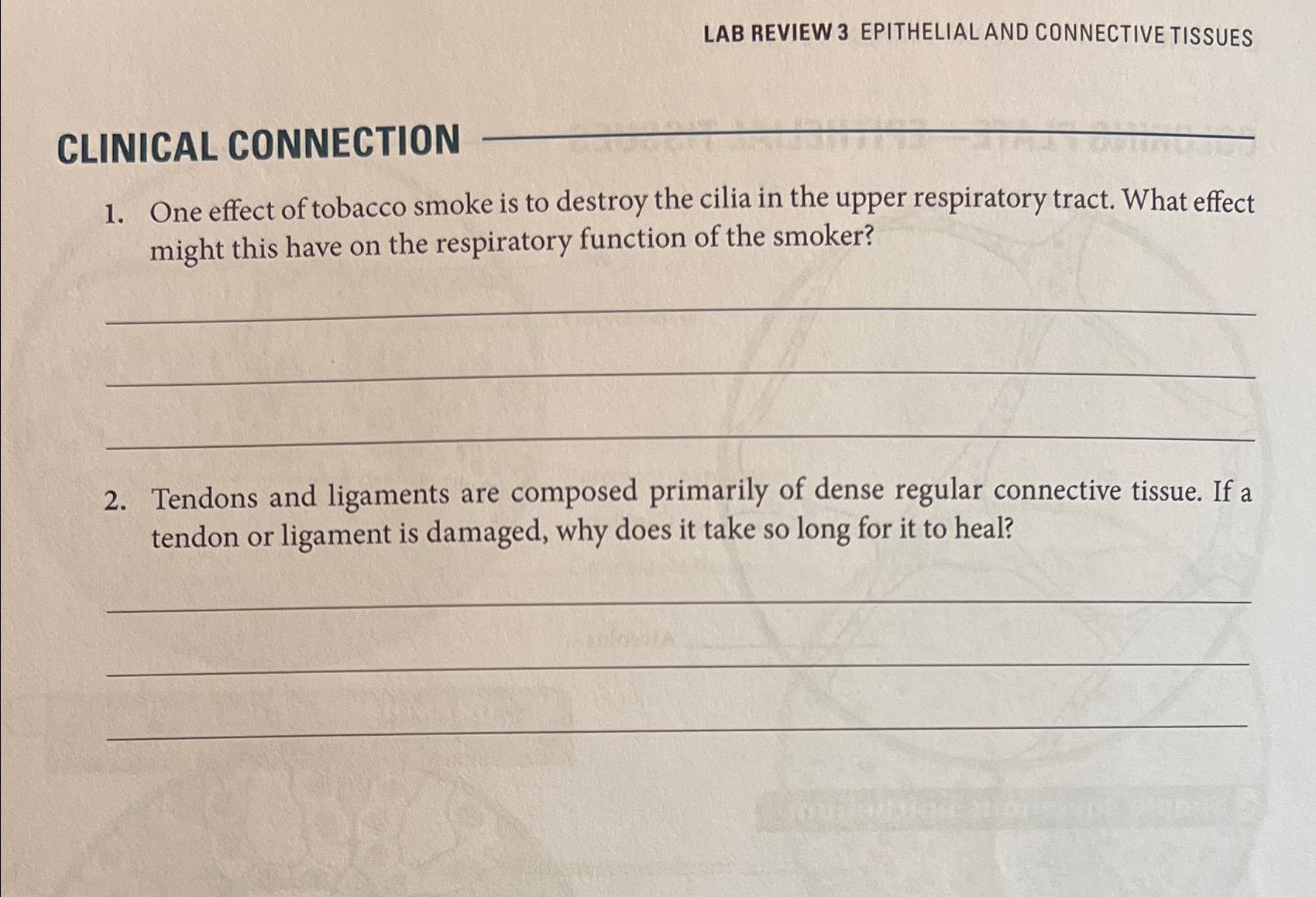 Solved LAB REVIEW 3 ﻿EPITHELIAL AND CONNECTIVE | Chegg.com