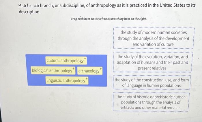 Match each branch, or subdiscipline, of anthropology | Chegg.com