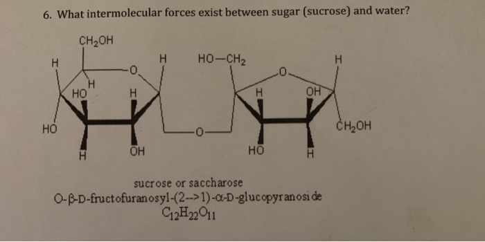 Solved 6. What intermolecular forces exist between sugar | Chegg.com