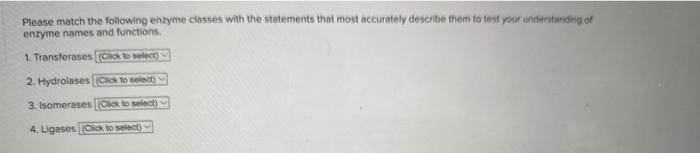 Solved Please match the foliowing enzyme classes with the | Chegg.com
