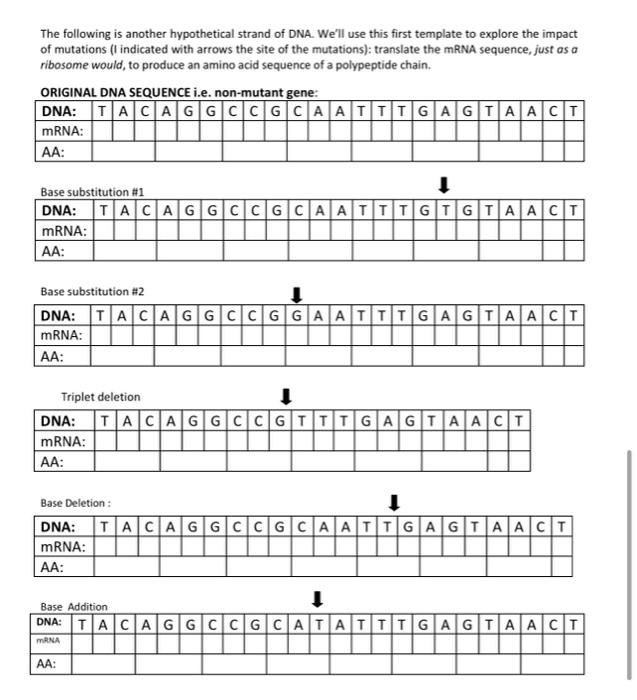 Solved Name Section Name DNA, RNA and the Genetic Code | Chegg.com