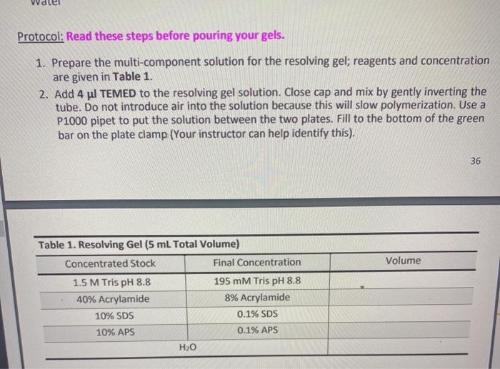 Solved Protocol: Read these steps before pouring your gels. | Chegg.com