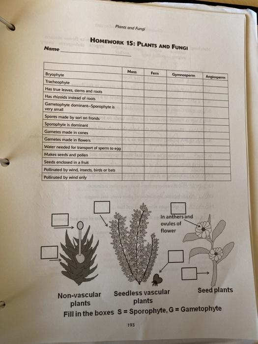Solved Plants and Fungi HOMEWORK 15: PLANTS AND FUNGI Name | Chegg.com