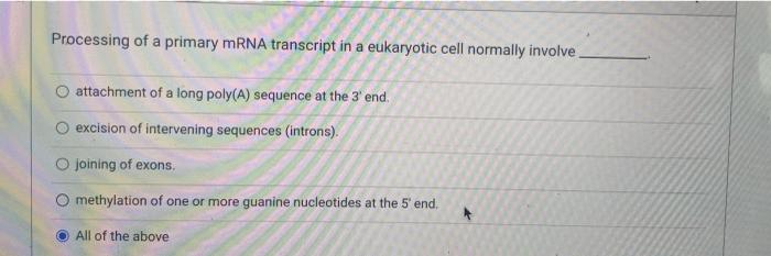 Solved Processing of a primary mRNA transcript in a | Chegg.com