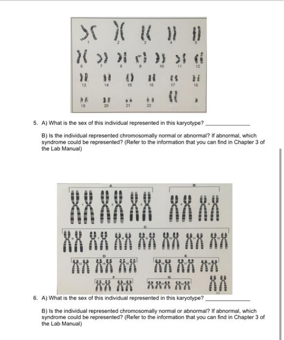 Solved Chromosome Activity Sheet M vvvv (00 00 1. A) What | Chegg.com