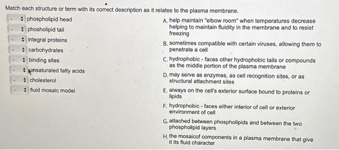Solved Match each structure or term with its correct | Chegg.com