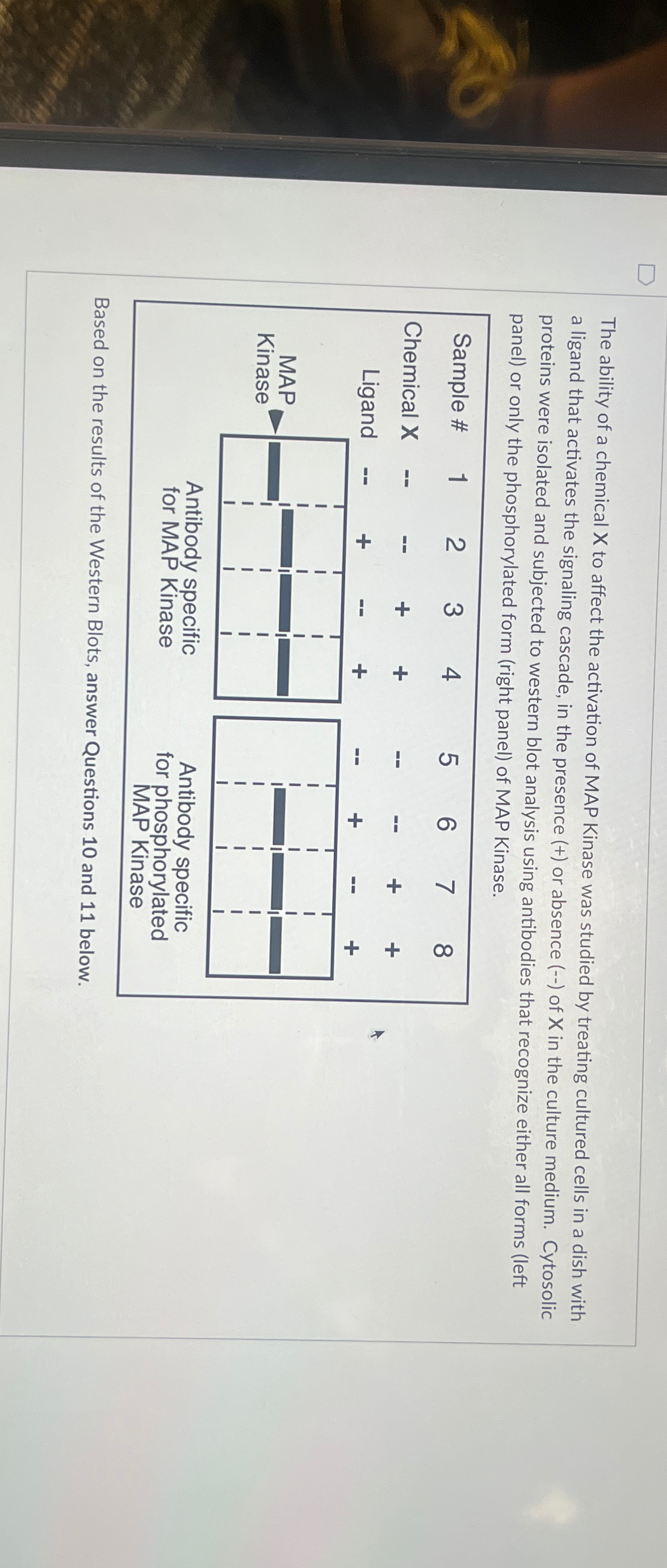 Solved The ability of a chemical x ﻿to affect the activation | Chegg.com
