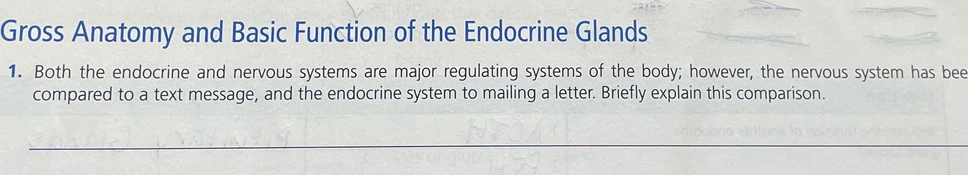 Solved Gross Anatomy and Basic Function of the Endocrine | Chegg.com