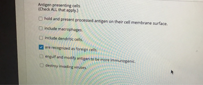 Solved Antigen presenting cells {Check ALL that apply.} hold | Chegg.com