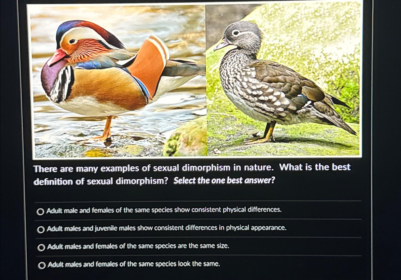 Solved There are many examples of sexual dimorphism in | Chegg.com