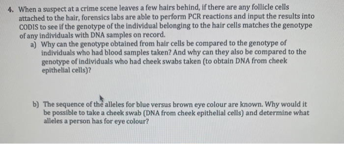 Solved 4. When a suspect at a crime scene leaves a few hairs | Chegg.com