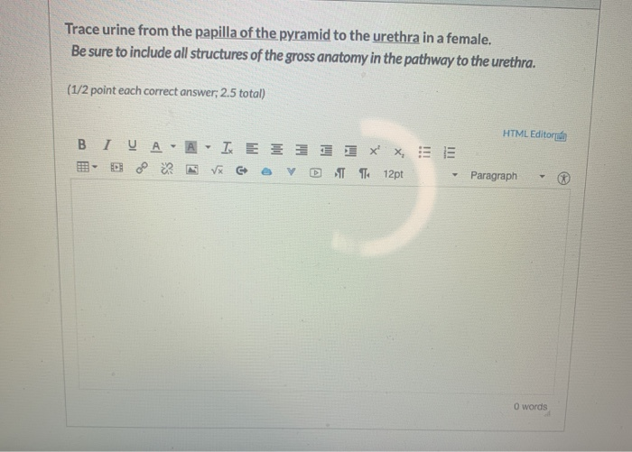 Solved Trace urine from the papilla of the pyramid to the | Chegg.com