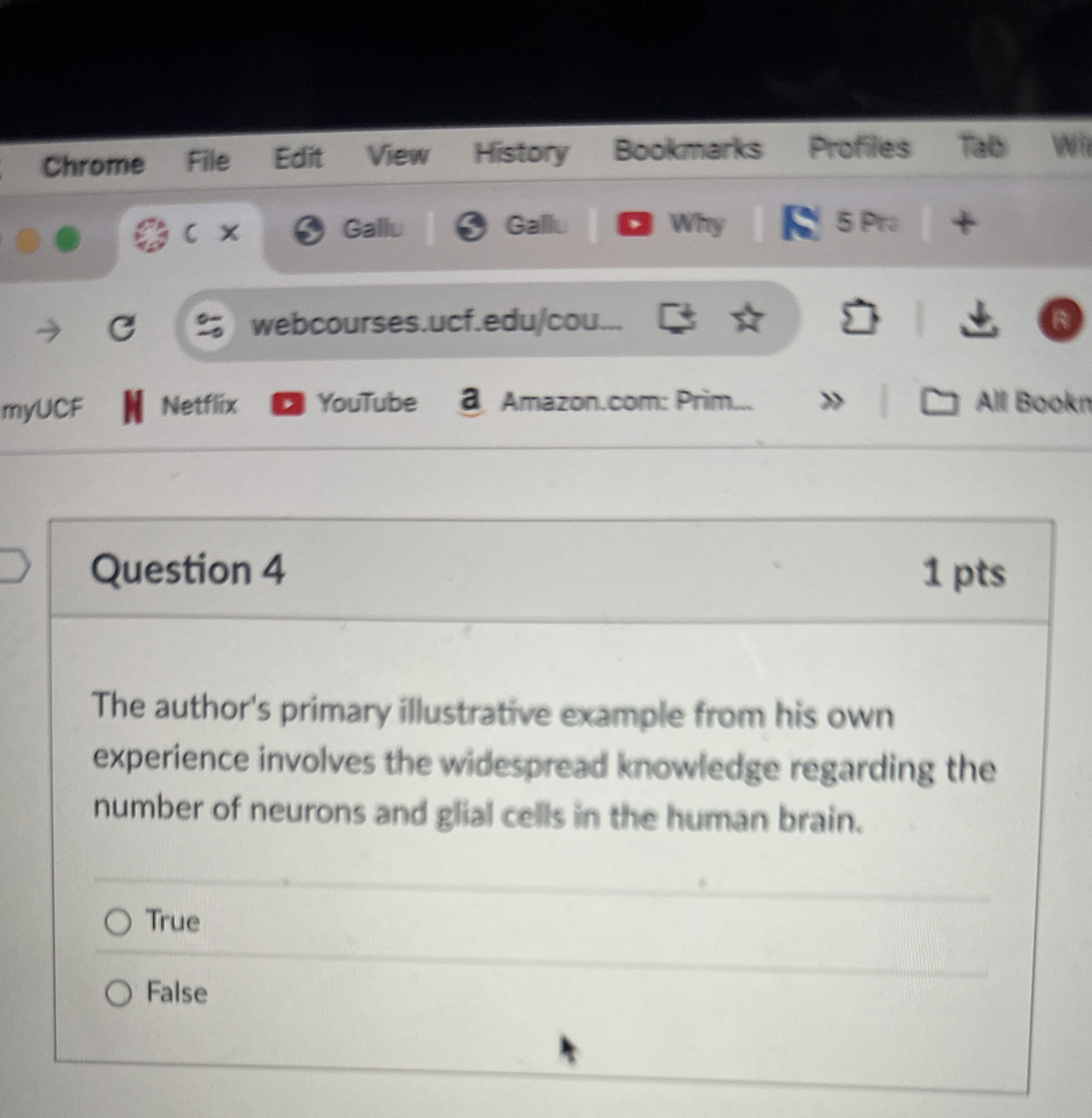 Solved Question 41 ﻿ptsThe author's primary illustrative | Chegg.com