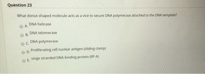 Solved Question 23 What donut-shaped molecule acts as a vice | Chegg.com