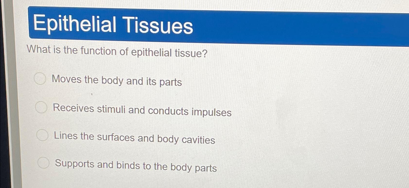 Solved Epithelial TissuesWhat is the function of epithelial | Chegg.com