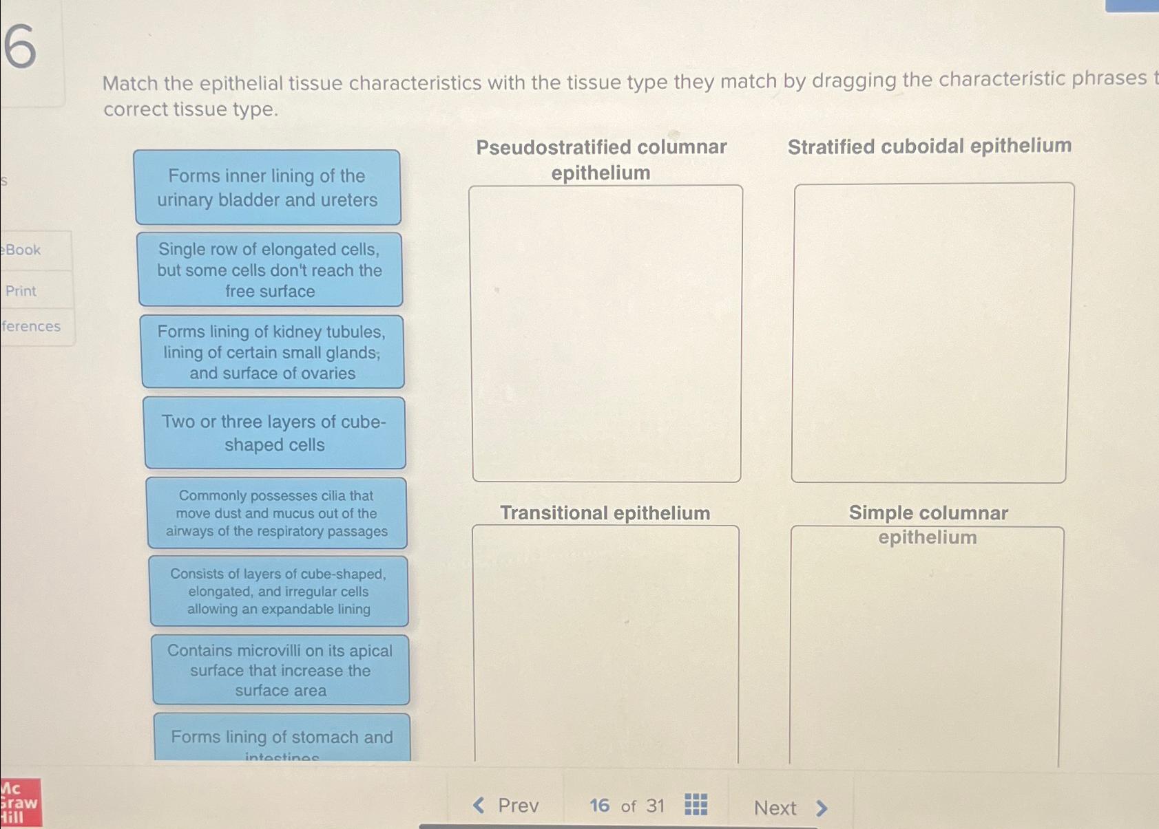 Solved Match the epithelial tissue characteristics with the | Chegg.com