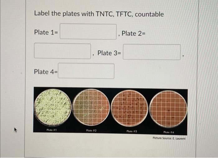 Solved Label the plates with TNTC, TFTC, countable Plate 1= | Chegg.com
