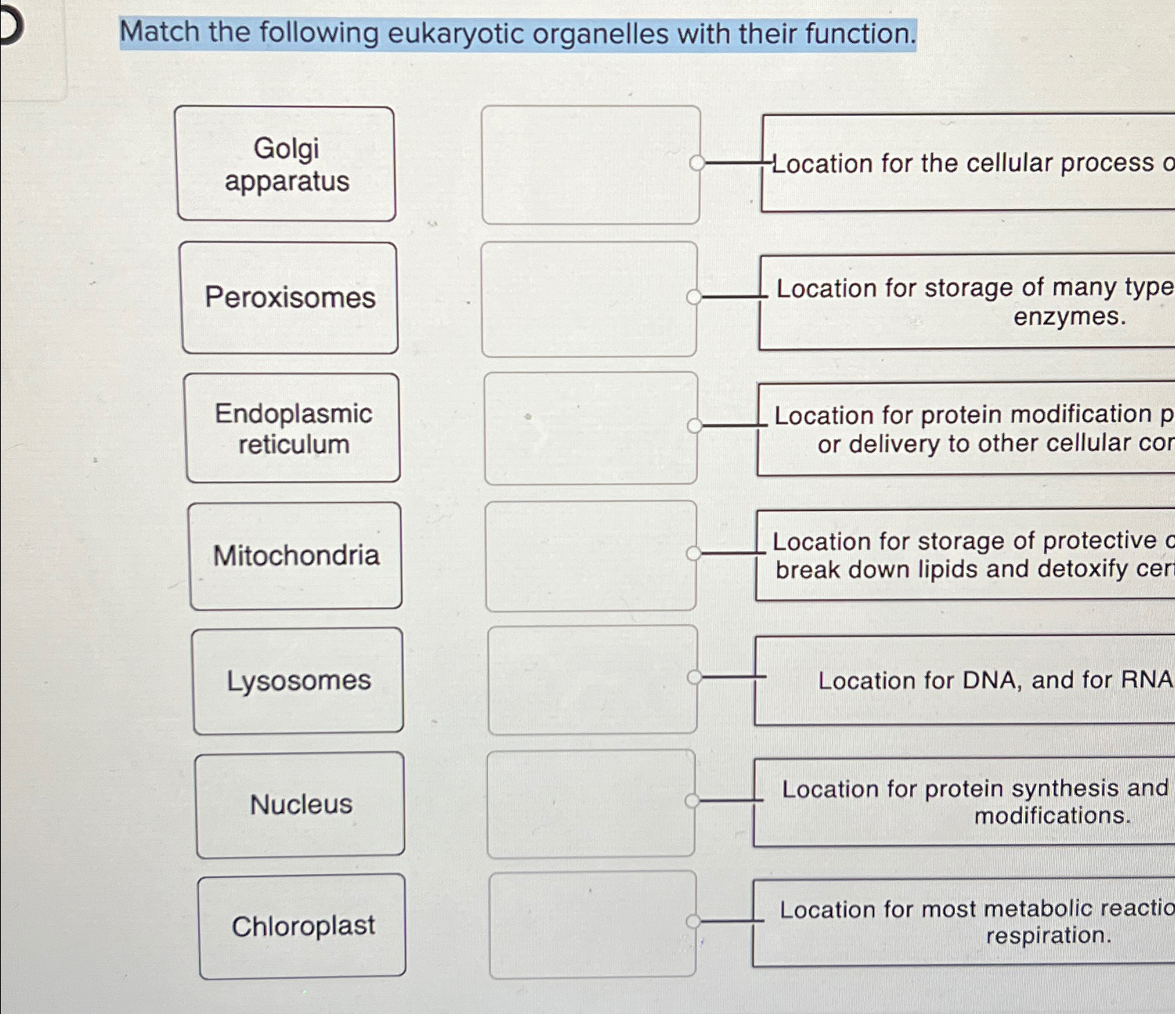 Solved Match the following eukaryotic organelles with their | Chegg.com