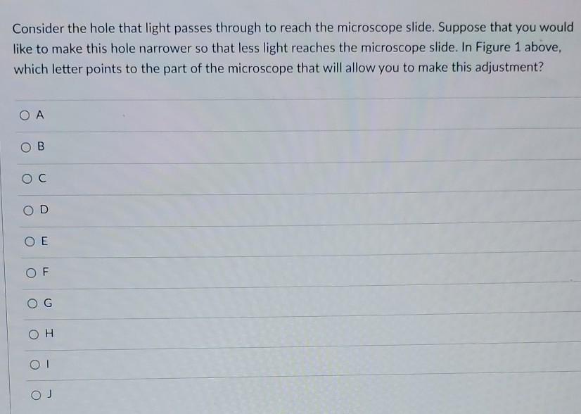 Solved In Figure 1 below, which letter points to the part of | Chegg.com