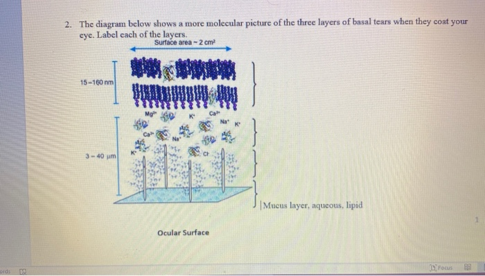 Solved 2. The diagram below shows a more molecular picture | Chegg.com