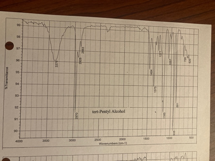 Solved please label IR spectrum of tert-pentyl alcohol and | Chegg.com