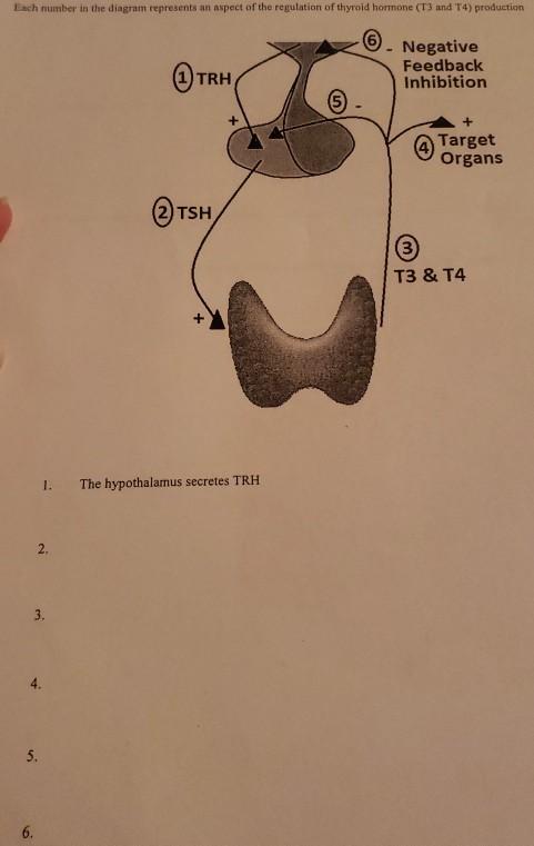 Solved Each number in the diagram represents an aspect of | Chegg.com