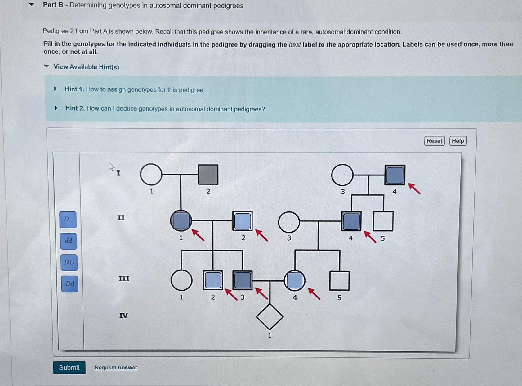 Solved Part B - Determining genotypes in autosomal dominant | Chegg.com Solved Part B - Determining genotypes in autosomal dominant | Chegg.com