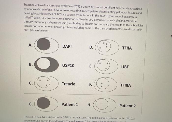 Solved Treacher Collins-Franceschetti syndrome (TCS) is a | Chegg.com