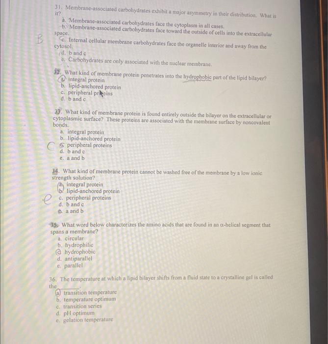 Solved Cell biology exam -- Please answer all questions so I | Chegg.com