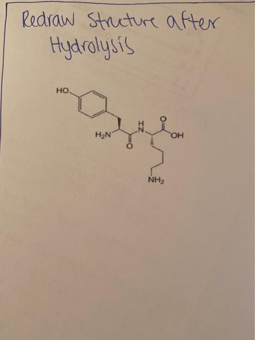 Solved Redraw structure after Hydrolysis НО. H2N OH NH2 | Chegg.com