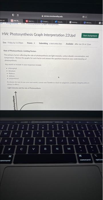 Solved I dont know how to put these words into the right | Chegg.com