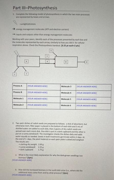 Solved Part III-Photosynthesis 1. Complete the following | Chegg.com