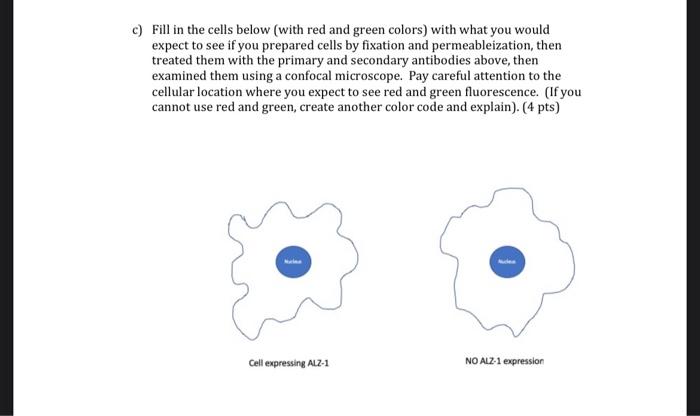 Solved C) Fill in the cells below (with red and green | Chegg.com