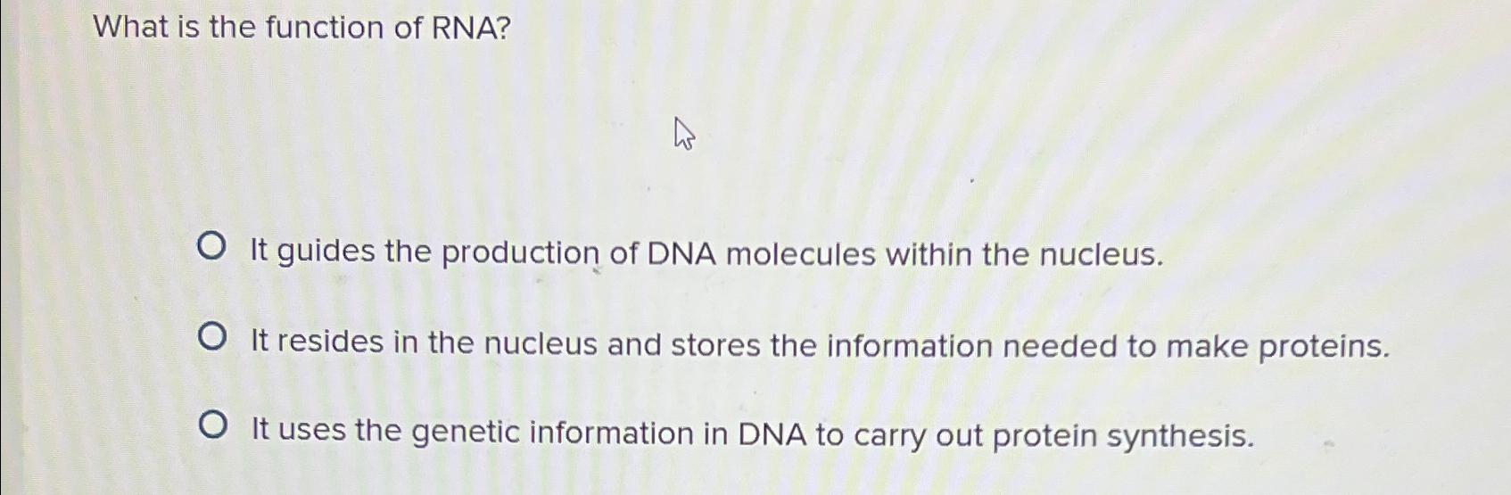 Solved What is the function of RNA?It guides the production | Chegg.com