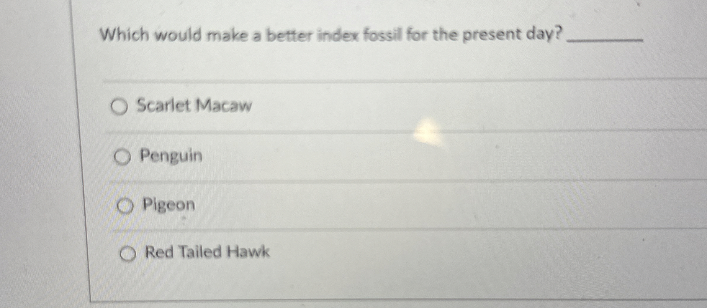Solved Which would make a better index fossil for the | Chegg.com