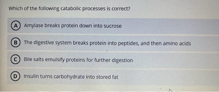Solved Which of the following catabolic processes is | Chegg.com