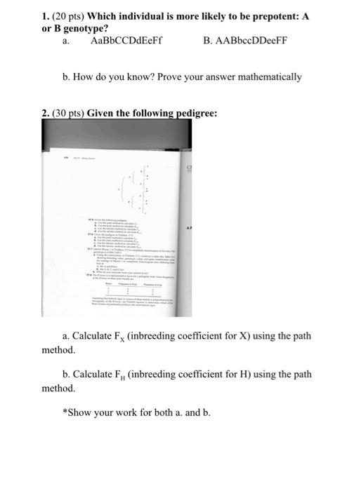 1. (20pts) Which individual is more likely to be | Chegg.com