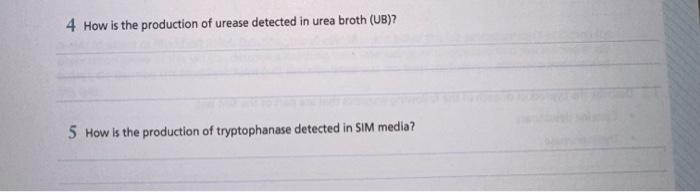 Solved 4 How is the production of urease detected in urea | Chegg.com