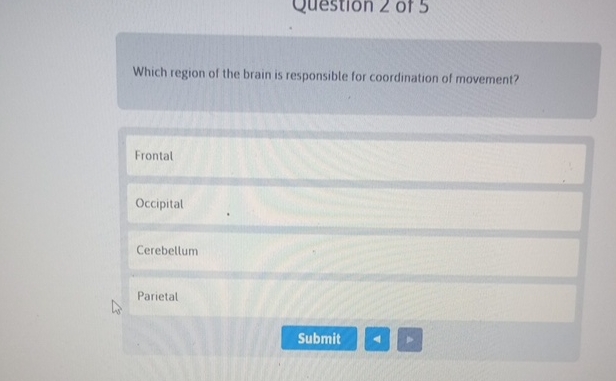 Solved Which region of the brain is responsible for | Chegg.com