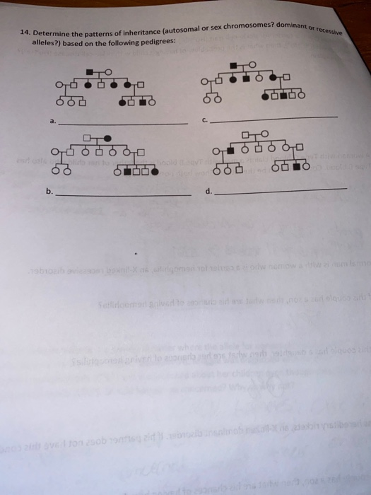 Solved 14. Determine the patterns of inheritance (autosomal | Chegg.com