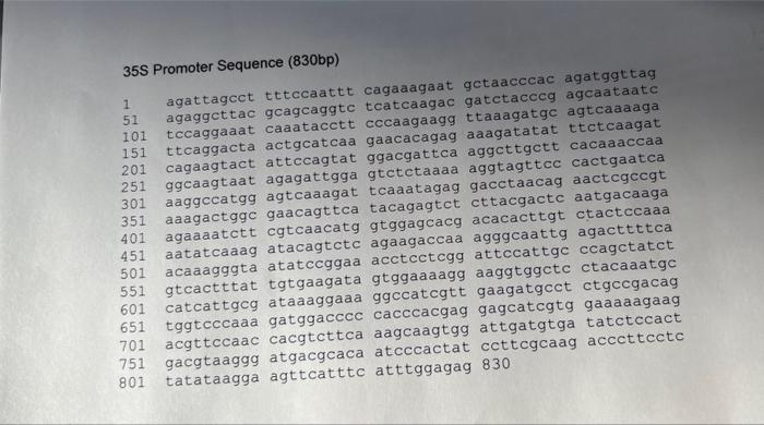 Solved 4. Start with one double stranded DNA template and | Chegg.com