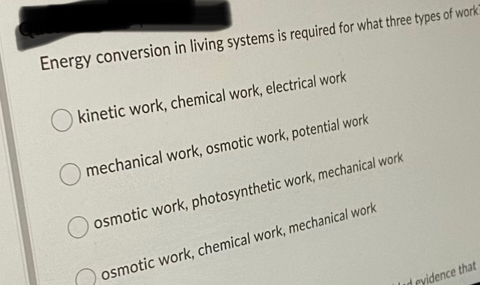 Solved Why is it energetically favorable to form one large | Chegg.com