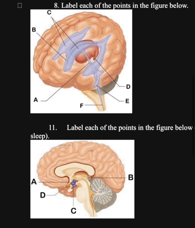 Solved Label each of the points in the figure below.Label | Chegg.com