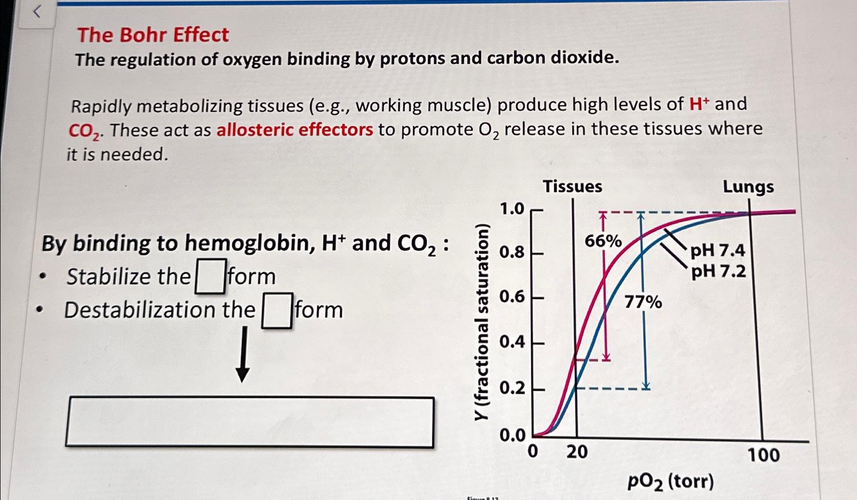 Solved The Bohr EffectThe regulation of oxygen binding by | Chegg.com